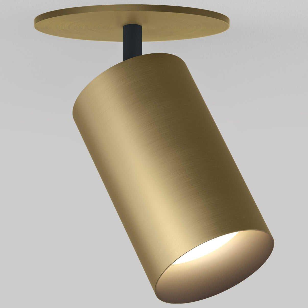 CM1 Monopoint Adjustable Spot Light - Remodel - Brushed Cast Brass ...